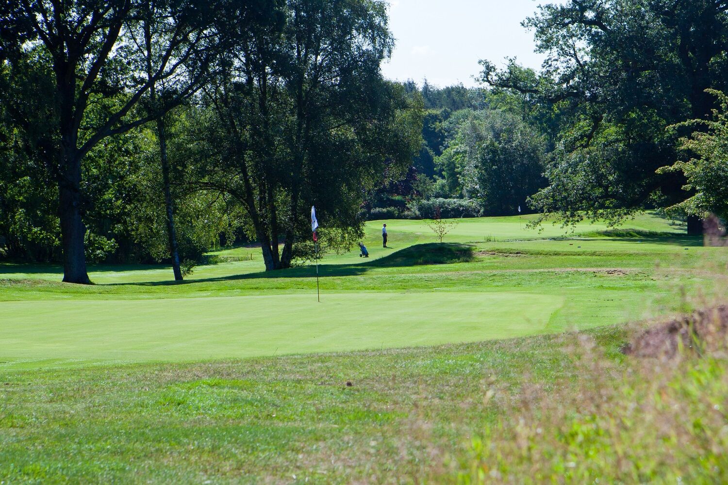 Functions and Weddings :: Dorking GC has a long history of being one of ...